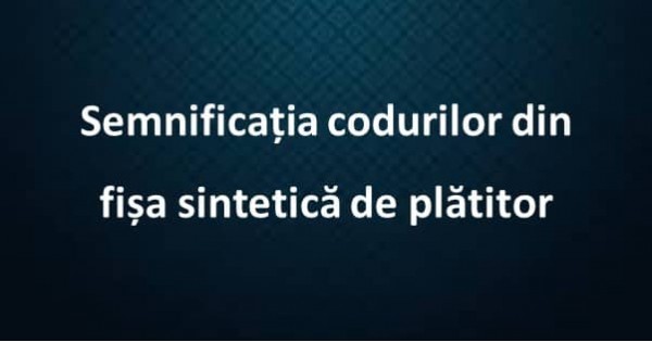Ce înseamnă codurile din fișa pe plătitor | TheExperts.ro